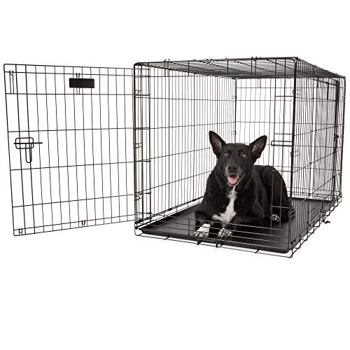 Precision Pet Products Two Door Great Crate Wire Dog Crate, 48 Inch ...