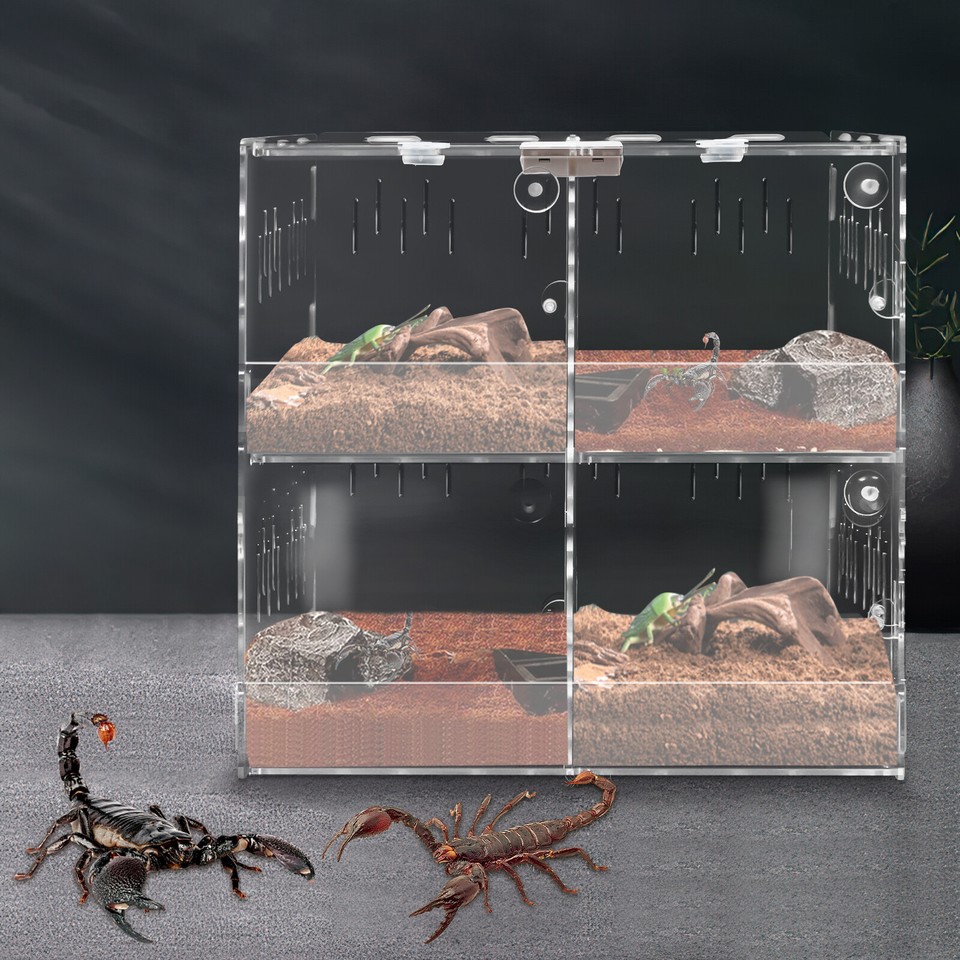 Reptile Cage Enclosure Box Scorpion Tarantula Insect Clear Display Case ...