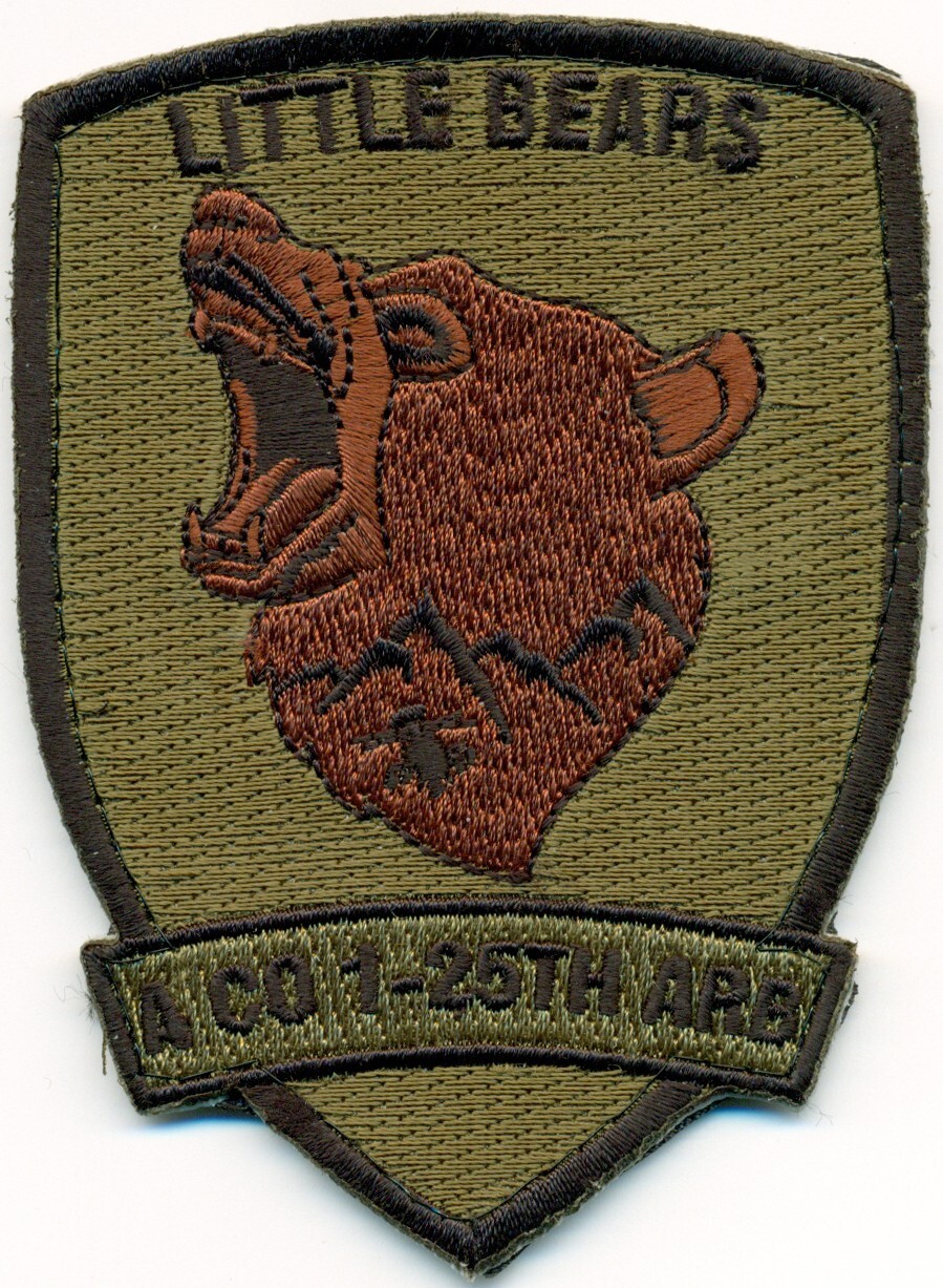 US ARMY A COMPANY, 1-25th ATTACK RECONAISSANCE BATTALION LITTLE BEARS ...