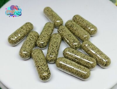 MOINA MACROCOPA EGGS (WATER FLEA) LIVE FOOD FOR BETTA GUPPY FISH ...