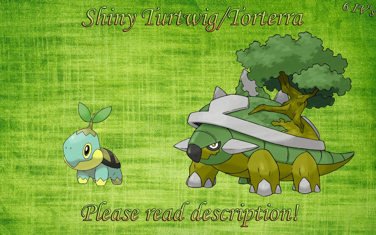 Pokemon Turtwig Evolution