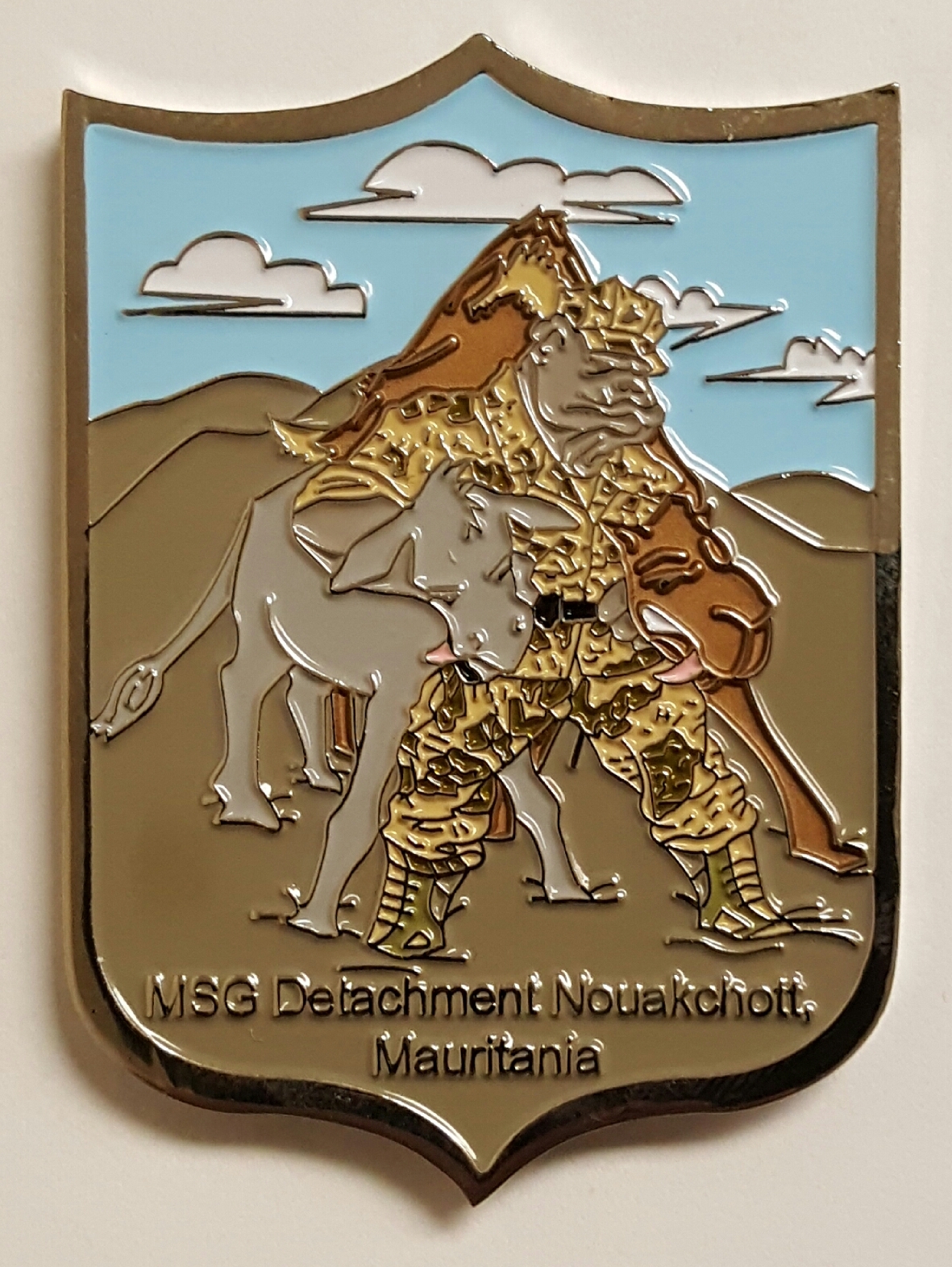 USMC MSG-Det Marine Security Guard Detachment US Embassy Nouakchott ...