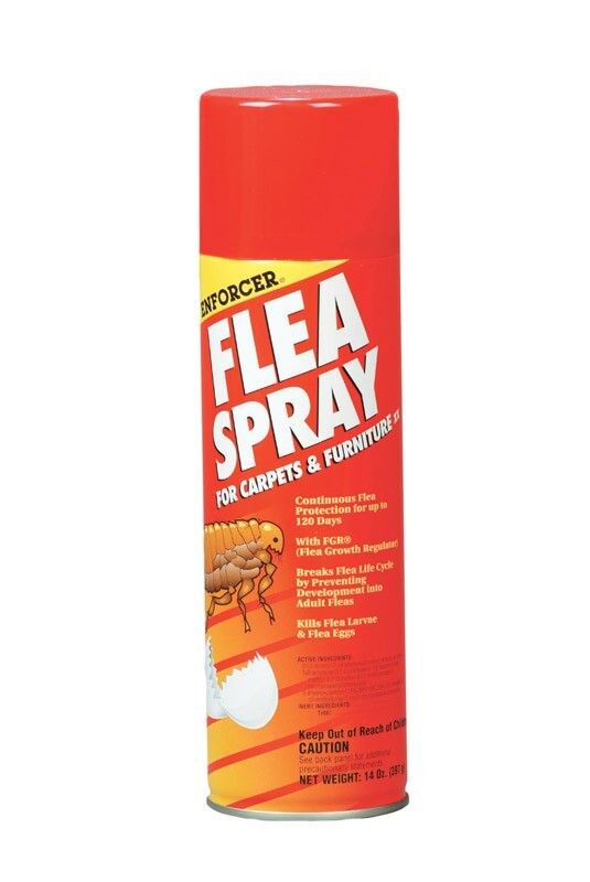Enforcer Flea Spray For Carpets & Furniture Flea Protection Up To 4 ...