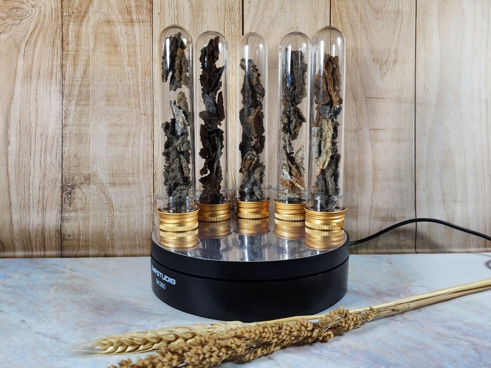 lightning glass fulgurite.lightning glass fulgurite.lightning glass ...