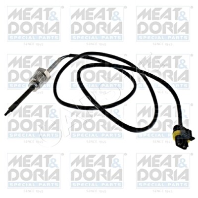 Exhaust Gas Temperature Sensor 12V For DAF CF 1689812 | eBay