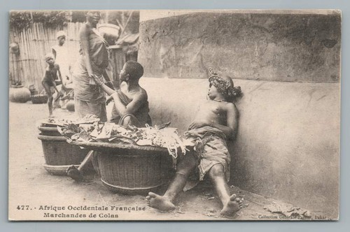 Cola Nut Vendor Girls SENEGAL Antique Africa Postcard Nude Topless ...