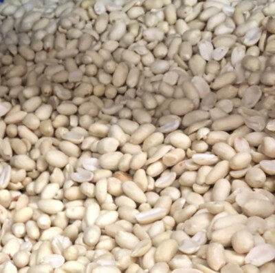 Bulk Raw Peanuts Skinless Jumbo Size 5 lb. | eBay