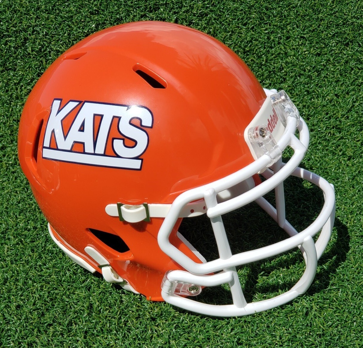 SAM HOUSTON STATE SHSU BEARKATS 2024 SPECIAL FOOTBALL MINI HELMET | eBay