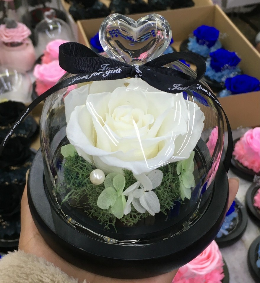 Eternal Rose flower Preserved rose everlasting rose flower gift with ...