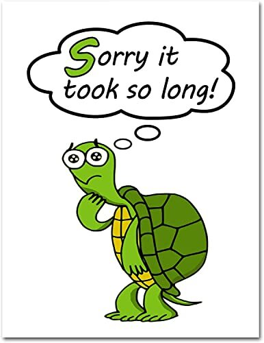 Sorry It Took So Long Turtle Cards 24 Count - Blank Inside with ...