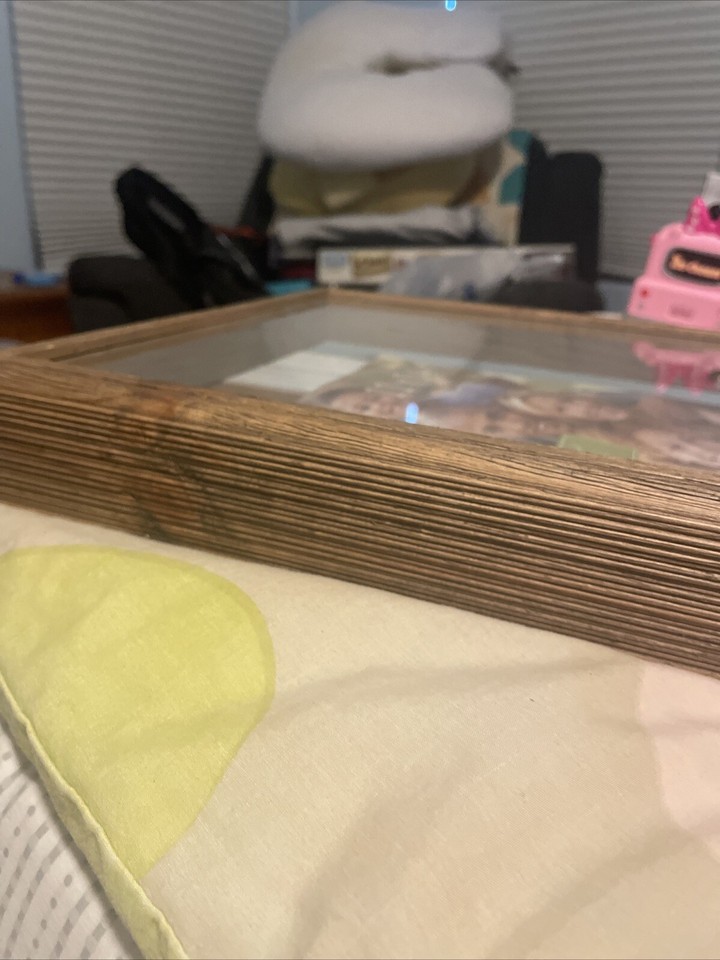 Hobby lobby 11 x 14” green tree gallery shadowbox | eBay