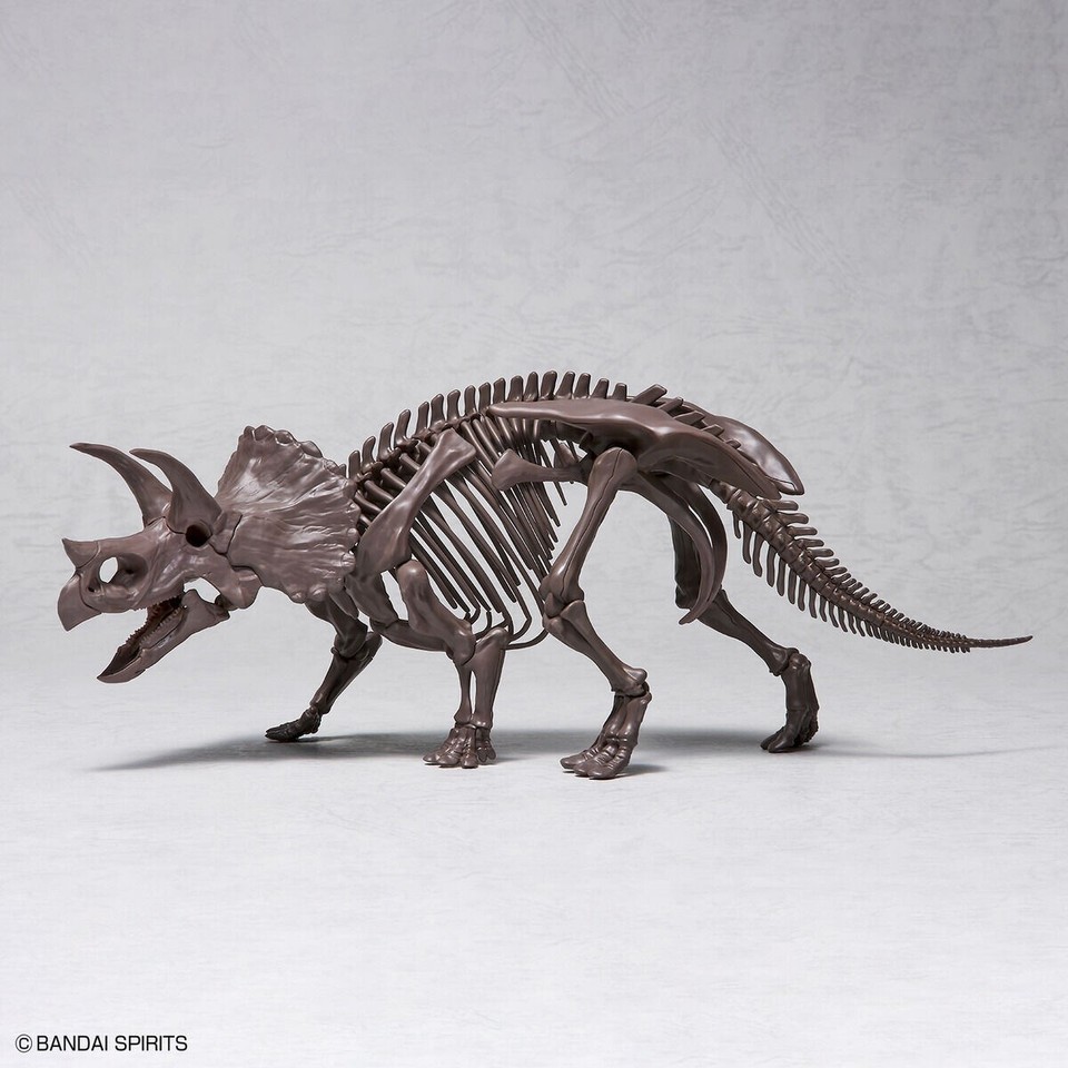 Triceratops Imaginary Skeleton 1/32 Scale Plastic Model Kit Bandai ...