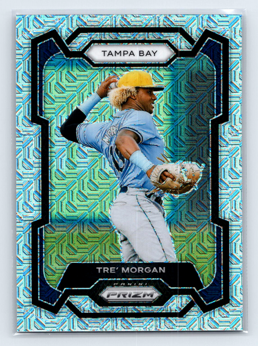 2024 Panini Prizm Baseball #300 Tre' Morgan Mojo /25 Tampa Bay Rays | eBay