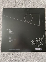Polly Scattergood - In This Moment (LP, Album, Ltd, Cle) (Near Mint (NM ...