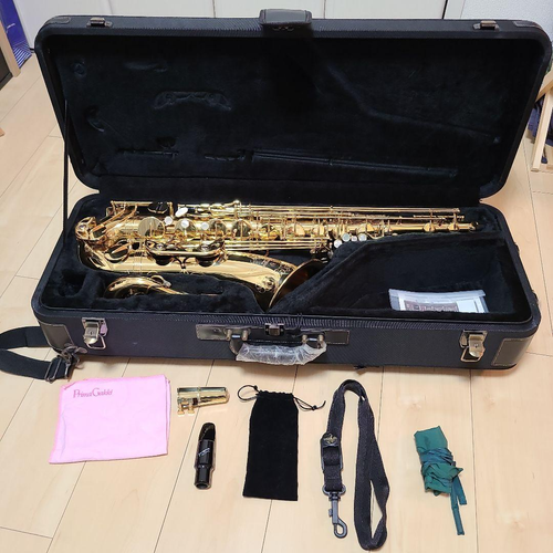 Yanagisawa T-WO10 Elite Professional Tenor Saxophone w/case Working ...