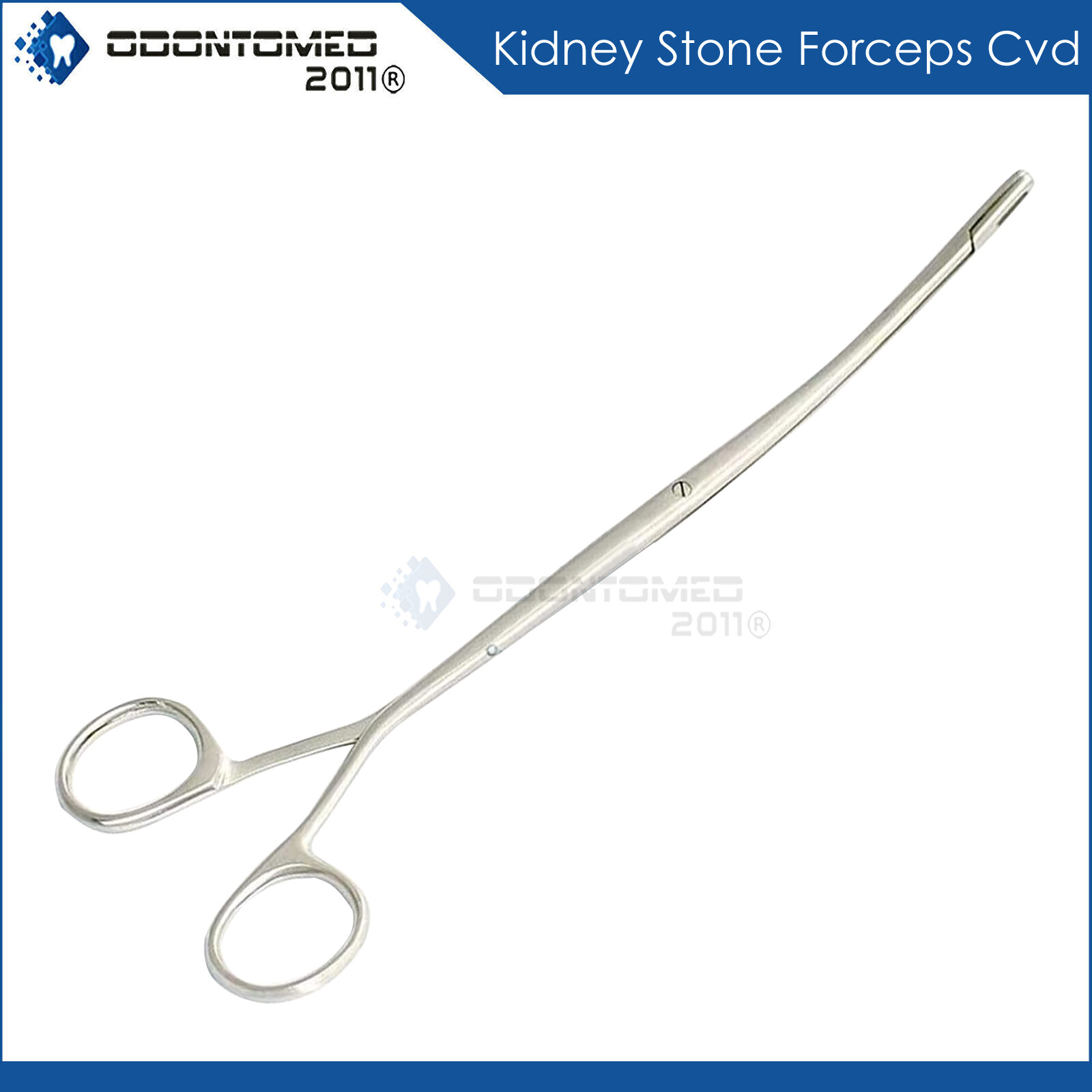Randall Kidney Stone Forceps Quarter Curved Surgical & Veter inary ...