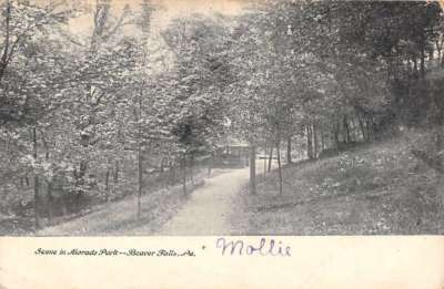 Beaver Falls Pennsylvania Morado Park Scenic View Antique Postcard ...