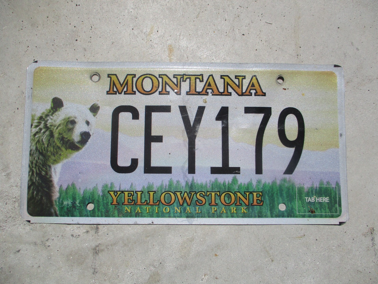 Montana Yellowstone National Park Grizzly license plate # CEY 179 | eBay