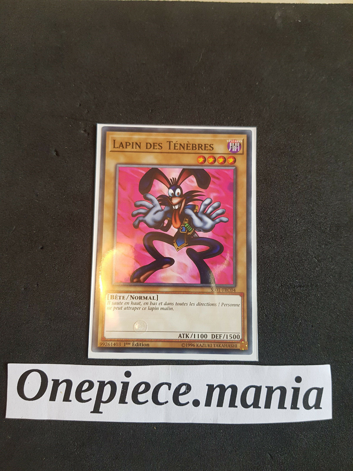 Yu-Gi-Oh [SD] Lapin des Ténèbres (Dark Rabbit) : SS01-FRC04 -VF/Commune ...