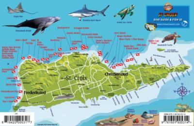 St. Croix USVI Dive Map Fish ID Virgin Islands Waterproof Fish Card ...