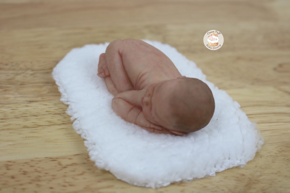 Reborn Silicone Mini Memorial Baby Girl Doll Reborn Doll Silicone Baby ...