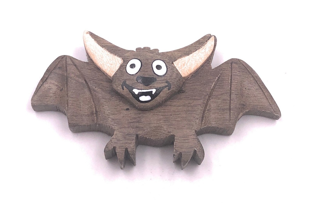 Chauves Souris Vampires Qui Dorment