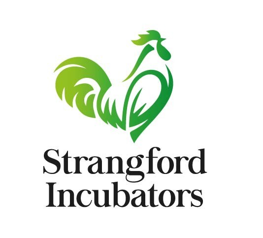 Lodi Sapphire Paste Bait Rat Mouse Rodent Killer Poison 280g (Kills ...