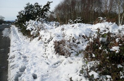 Photo 6x4 View from the layby Hammer Bottom I just pulled into a ...