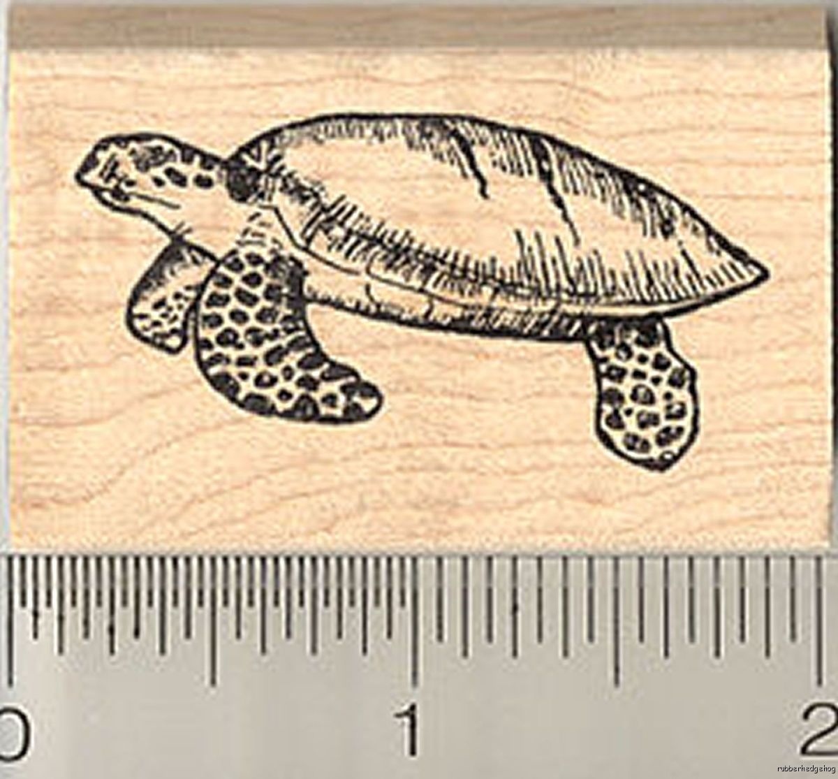 Sea Turtle Rubber Stamp, Green, Hawksbill, Black E4110 WM | eBay