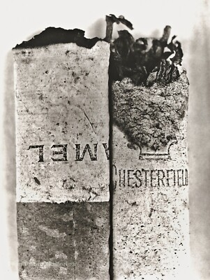 1972/84 IRVING PENN Camel Cigarette Butt Still Life Chesterfield Photo ...