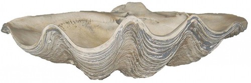 Large Clam Shell Centerpiece Display Tray Nautical Beach Coastal ...