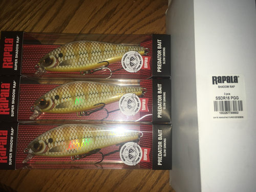RAPALA SUPER SHADOW RAP 16's==LOT OF 3 PEARL GHOST GOLD COLORED FISHING ...