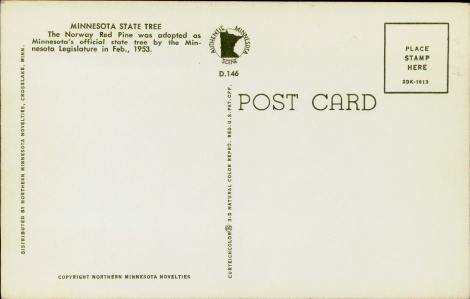 Minnesota Norway Pine State Tree Chevy Corvair van 1960's vintage ...