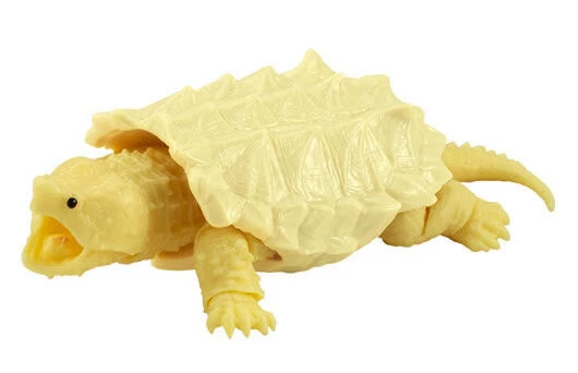 Leucistic Alligator Snapping Turtle