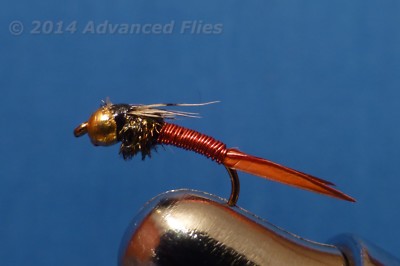 Wet - Copper John Flies