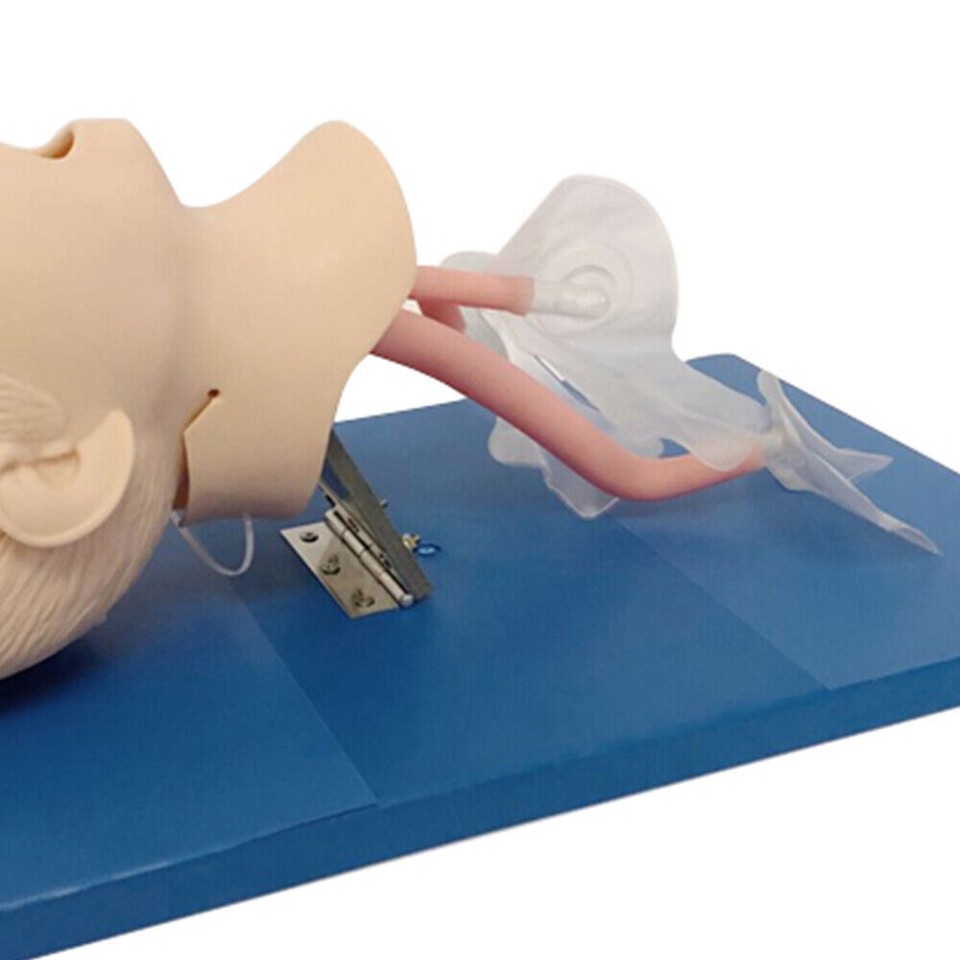 Airway Management Trainer ET/J16 Intubation Head Manikin Lab Training ...