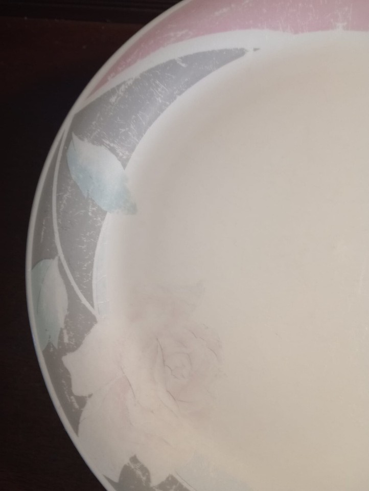 Set Of 11 Ciera Rose Fine Dinnerware Vintage 10.5" Dinner Plates | eBay