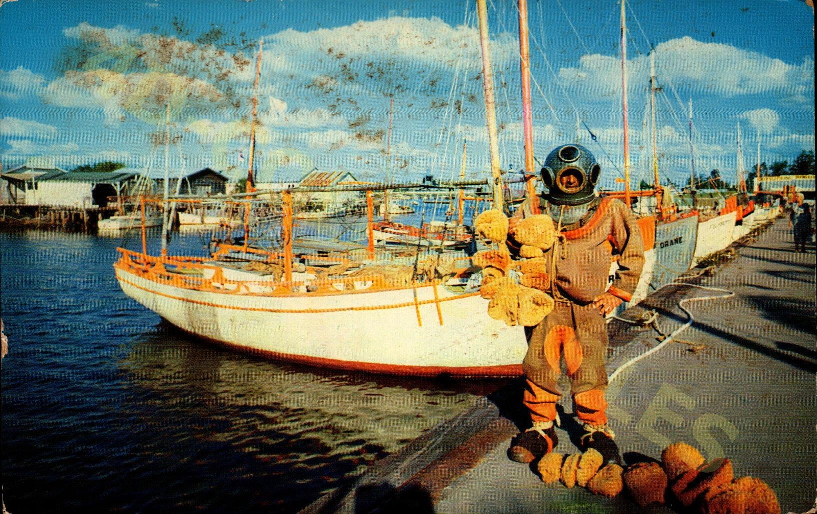 Vintage postcard Sponge Diver Boats Tarpon Springs Florida | eBay