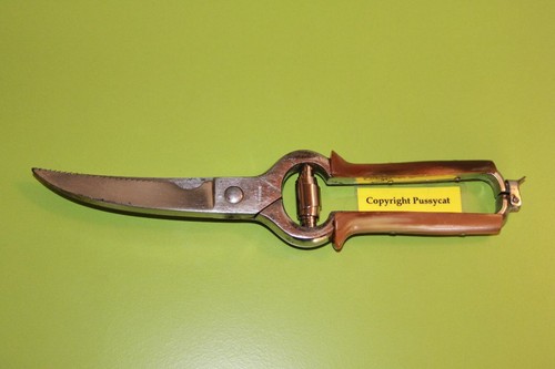 Geflügelschere Gefü W & S Rostfrei INOX Made in Solingen Schere Nr. (80 ...