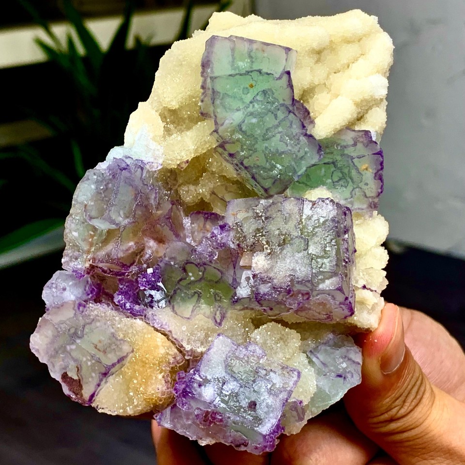 441G Natural fluorite Purple Blue Green cubic mineral crystal sample ...