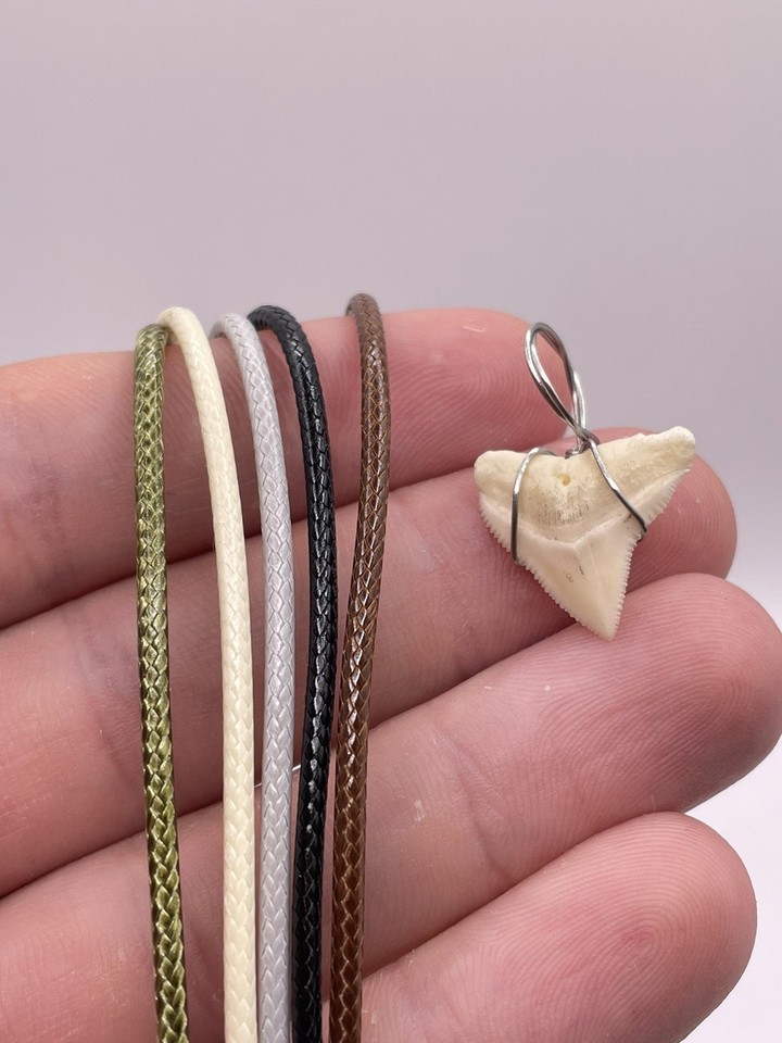 Real Modern Bull Shark Tooth Necklace | Pick your Cord Color | Waxed ...