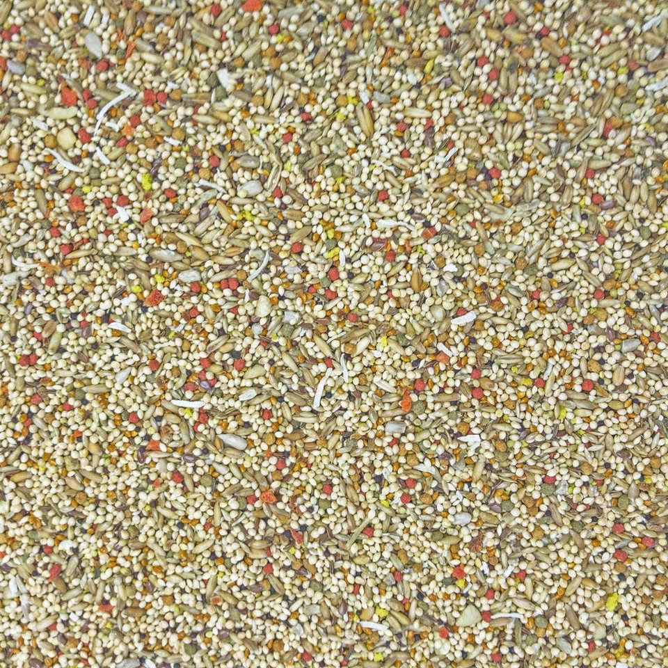 2 Pack of Sunburst Gourmet Blend Parakeet Food, 2 Pounds Each, with ...