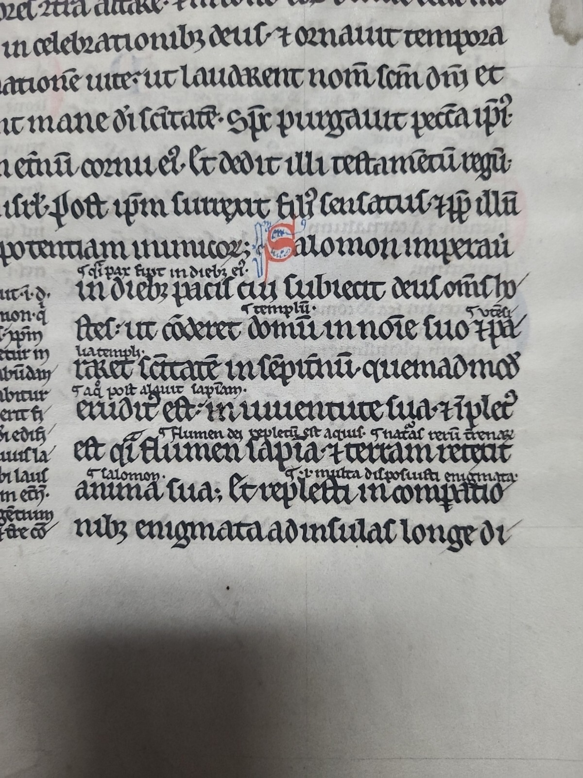 Antique Handwritten Biblical Latin Parchment Multicolor Medieval Vellum ...