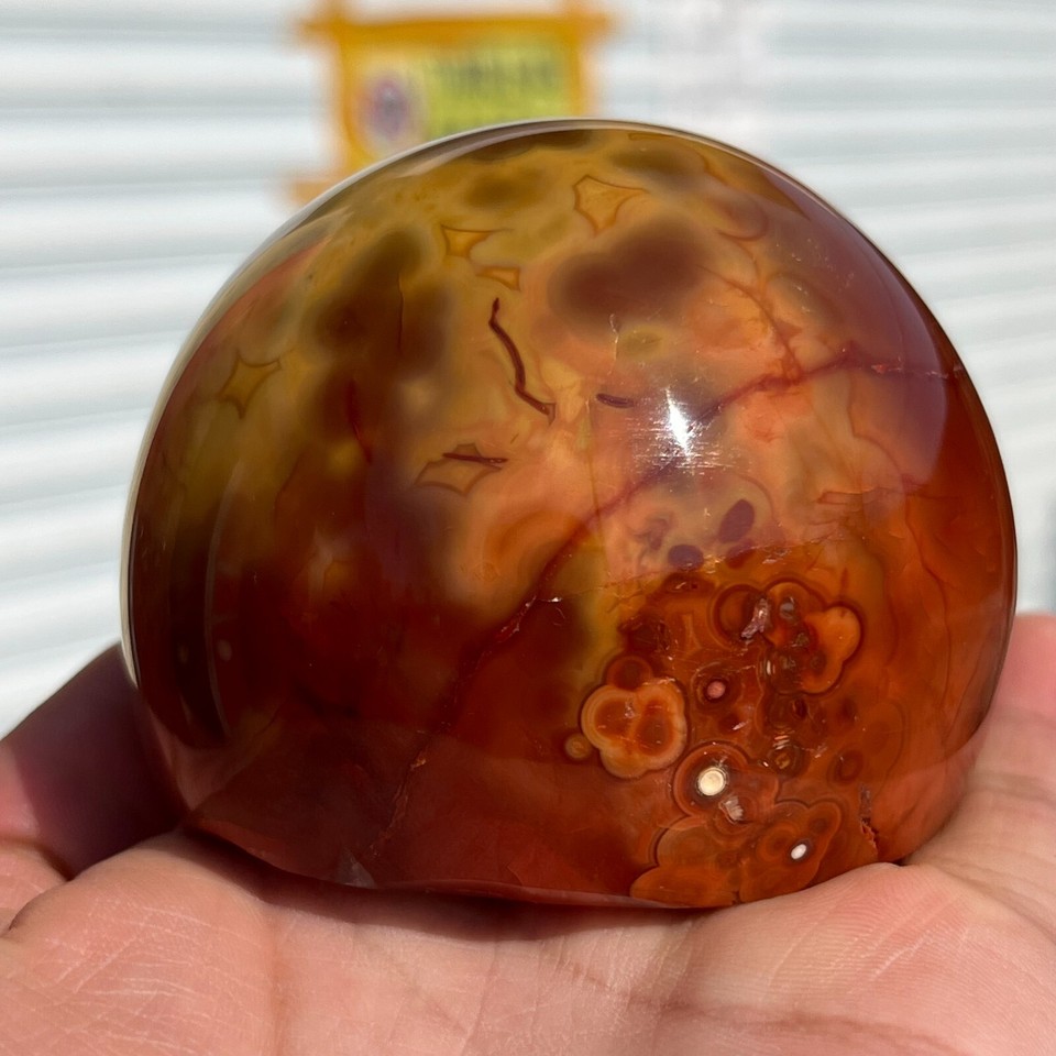 376g Rare Natural Carnelian Geode Agate Quartz Crystal Mineral Healing ...
