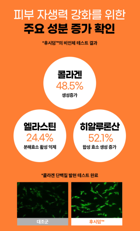 Fusidyne Fusid Cream Package Anti-Aging Wrinkle Care K-Beauty | eBay