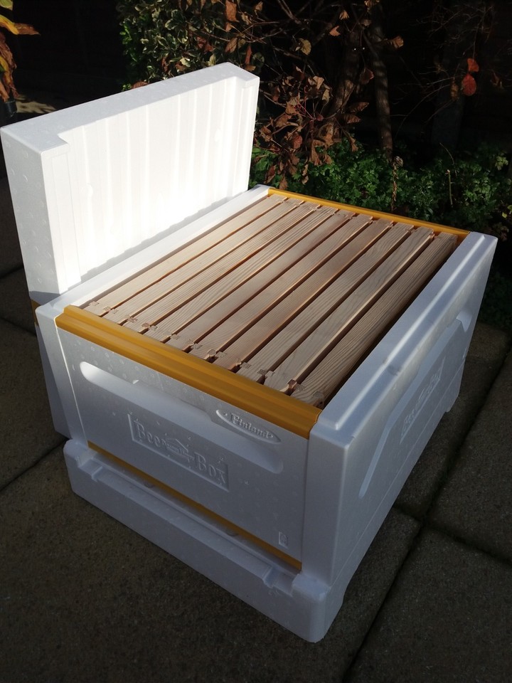 LANGSTROTH POLY BEEHIVE OVERWINTERED DEPOSIT. | eBay UK