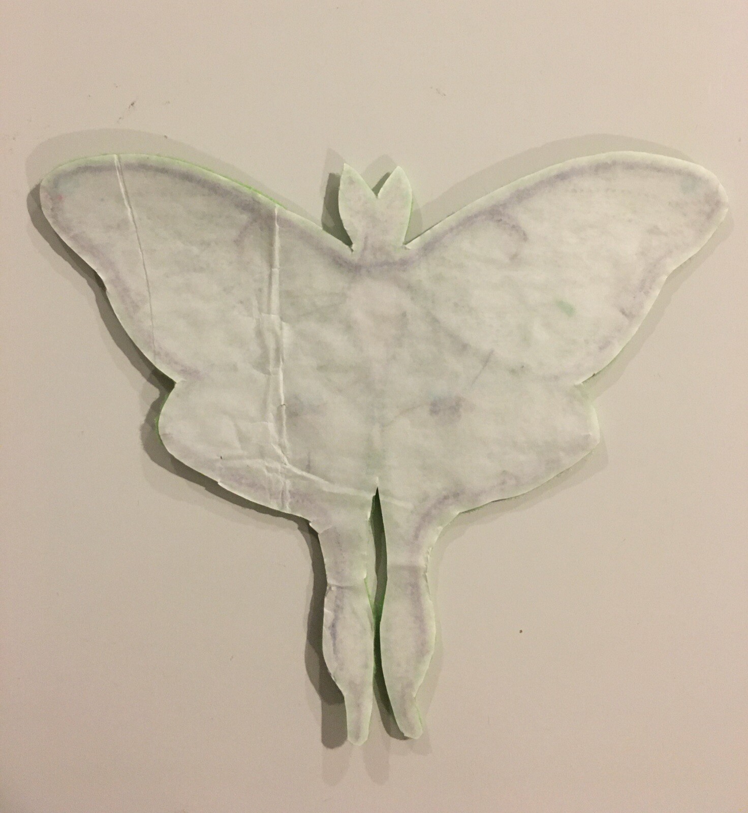 GLOW in DARK Large 6” Inch Embroidered Luna Moth IRON ON Patch | eBay