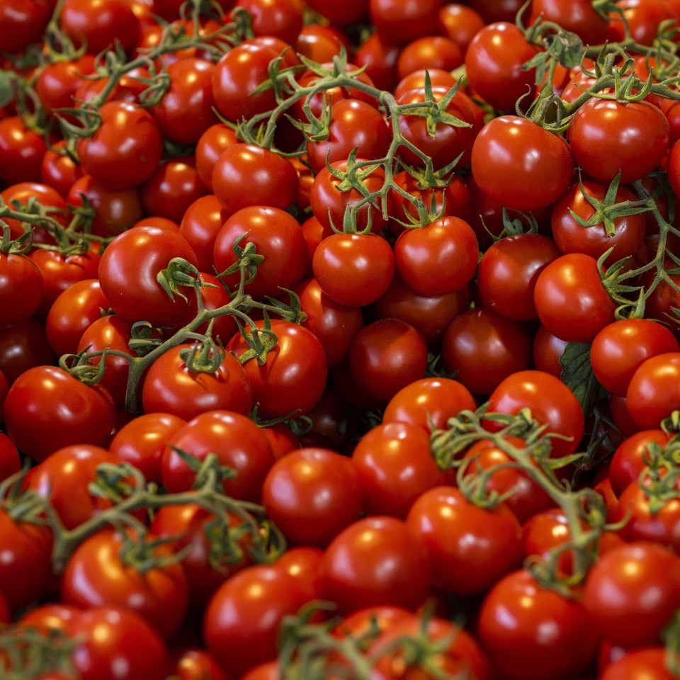 Tomato Large Red Cherry Seeds, Sweet Cherry Tomato, Non-GMO, Free ...