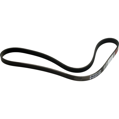 5050405 Dayco Drive Belt for Chevy Olds Buick Regal Chevrolet Equinox ...