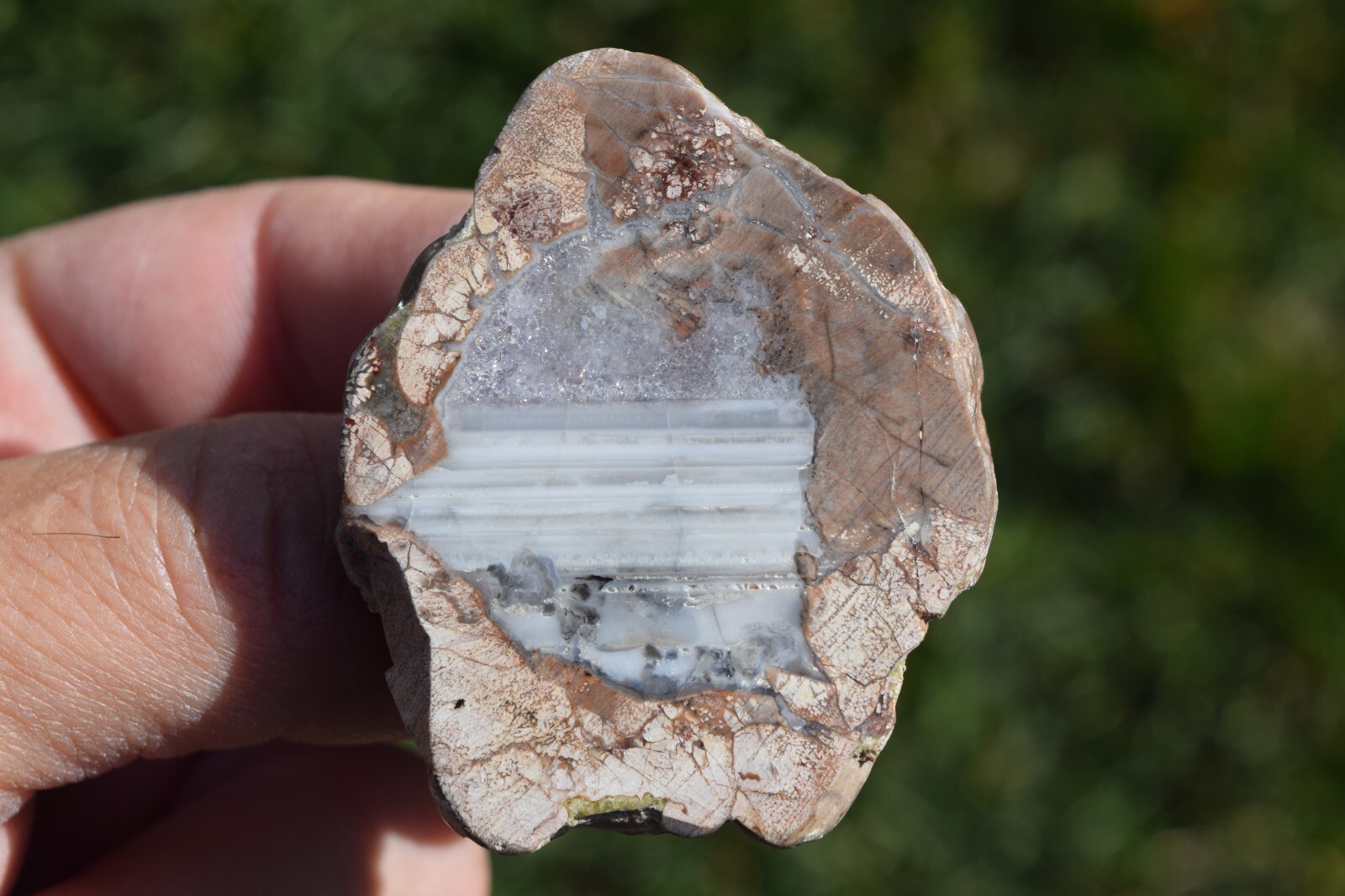 Polished Thunderegg Waterlines Opal Amethyst Agate Madmartigan's Stash ...